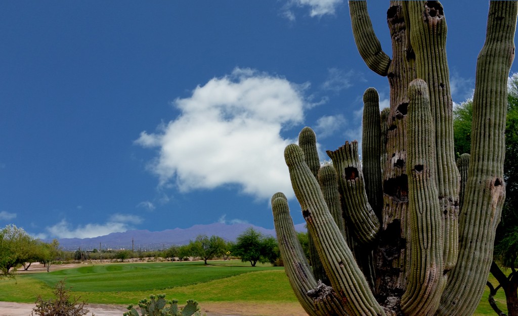 Course Gallery - Crooked Tree Golf Course